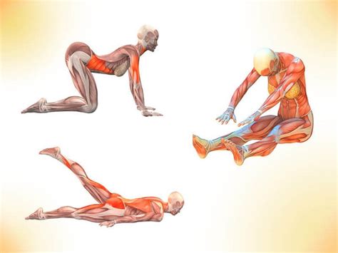 7 упражнений для женщин от Кацудзо Ниши ~ Шкатулка рецептов