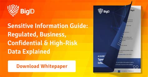 A Guide To Types Of Sensitive Information Bigid