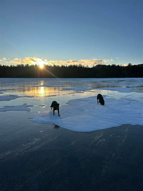 Morning Walk Album On Imgur