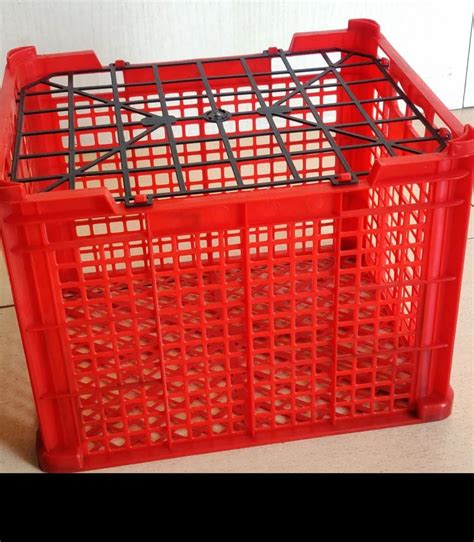 Vegetable Storage Crates Dimension 400x300x270 Mm At ₹ 49 In Pune