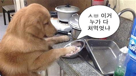 설거지 15분 안에 끝낸다 Youtube