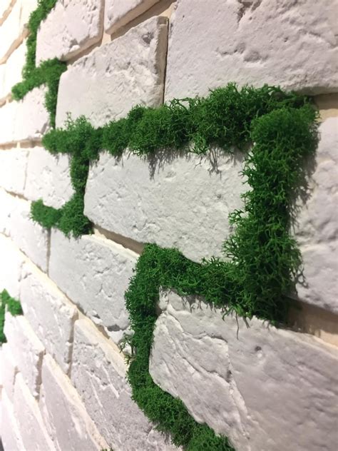 Искусственные растения на кирпичной стене