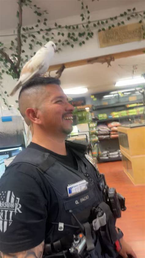 Aj Police Department Ajpolicedept Twitter