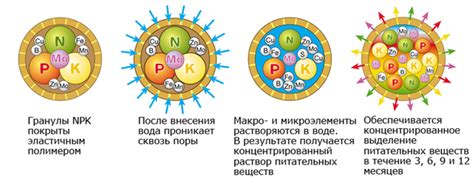 Удобрение Осмокот - Поливы, растворы, субстраты и удобрения для ...