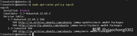 Ubuntu 22 04 安装 Squid Proxy Server 知乎
