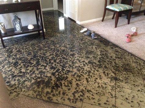 Sewage Leak Damage In Florida All Claims Usa Public Adjusters