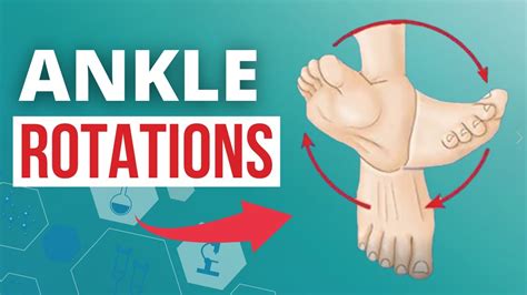Ankle Rotations Exercise Seated Ankle Rotation Chair Exercise East