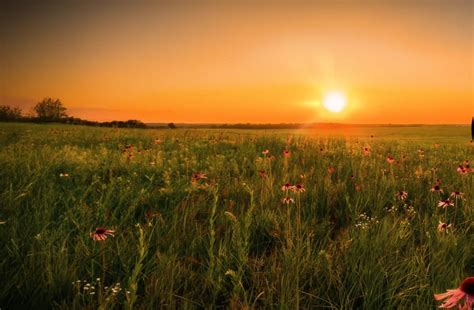 Chill Guy Background Blank Template Imgflip