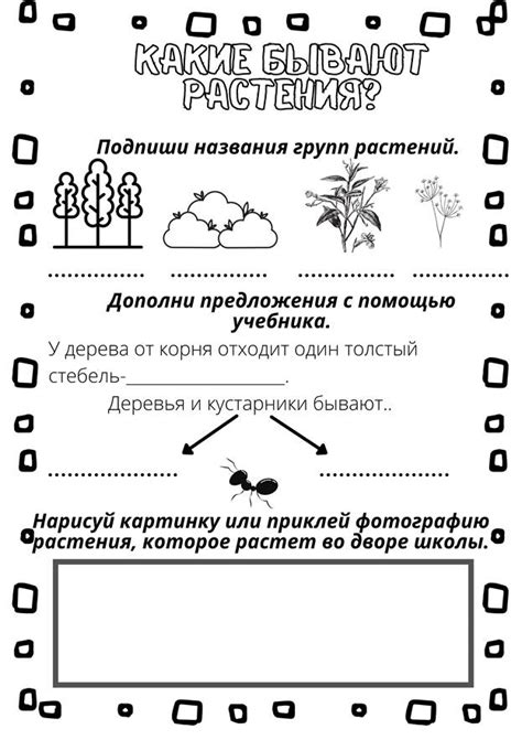 Рабочий лист к уроку окружающего мира по теме Какие бывают растения 2 класс УМК Школа