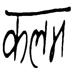 Devanagari Handwritten Character Detection Instance Segmentation