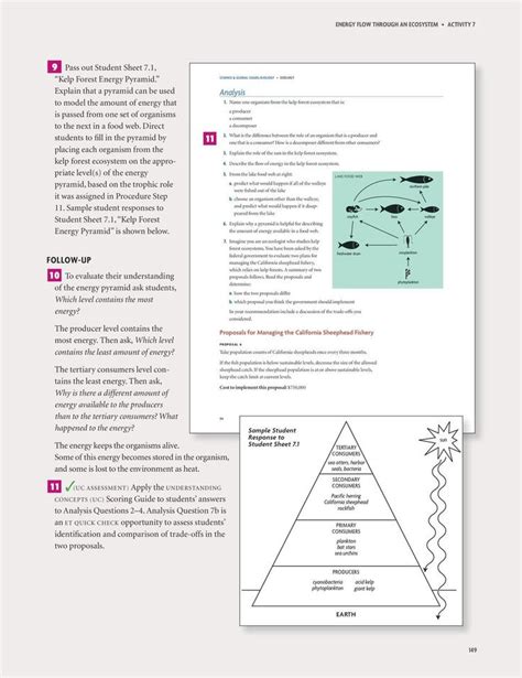 Energy Flow In An Ecosystem Worksheets
