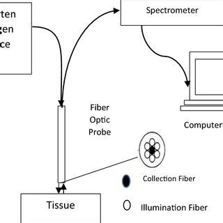 The Schematic Diagram Of Diffuse Reflectance Spectroscopy System Download Scientific Diagram
