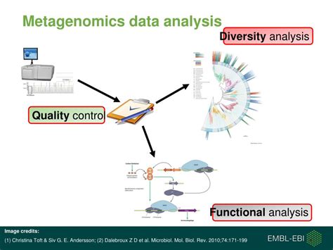 Ppt Ebi Ac Uk Metagenomics Powerpoint Presentation Free Download Id 1802598