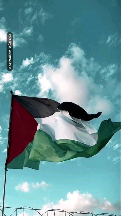 هذا الحساب يدعم القضية الفلسطينية سيبقى إسمك وعلمك مرفوع يا فلسطين