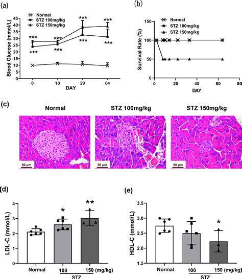Figure 1 From Aggravated Renal Fibrosis Is Positively Associated With