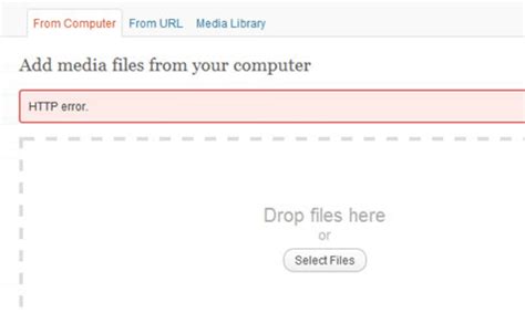 Resoluci N De Problemas De Wordpress Error Al Cargar Im Genes