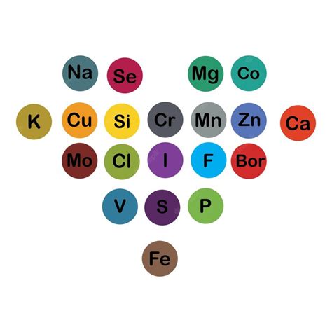 Premium Vector Minerals Microelements And Macro Elements Useful For