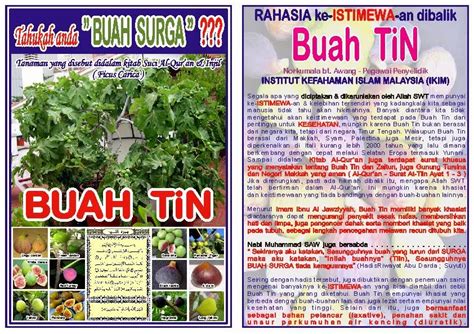 Cahayaummurizqi Khasiat Buah Tin Buah Yang Diturunkan Dari Syurga