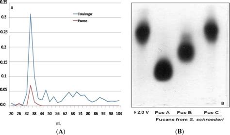 A Elution Profile Of F20v In Gel Filtration Chromatography A Gel