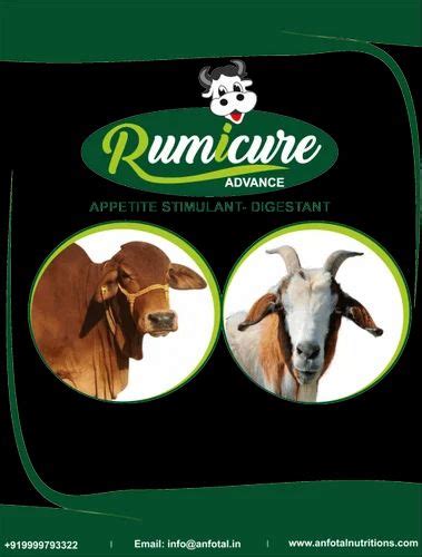 Cattle Digestive Bolus Rumicure Advance Packaging Size Jar