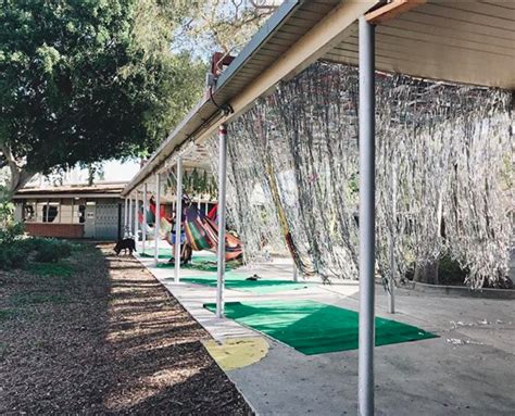 Design Class Behind Last Semester S Swings Returns The Chimes