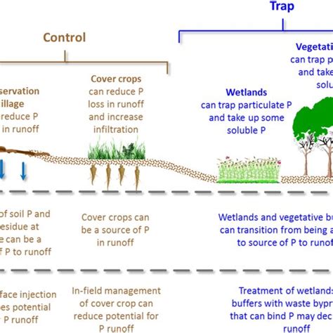Schematic Examples Of Benefits Trade‐offs And Mitigation Strategies Download Scientific