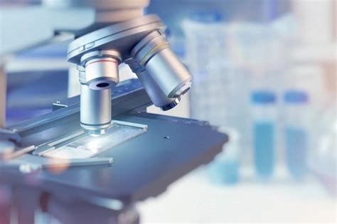 Engenharia De Materiais O Caminho Da Transformação Casa E Mercado