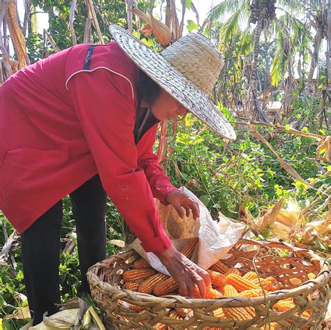 Empowering Growers As Climate Champions