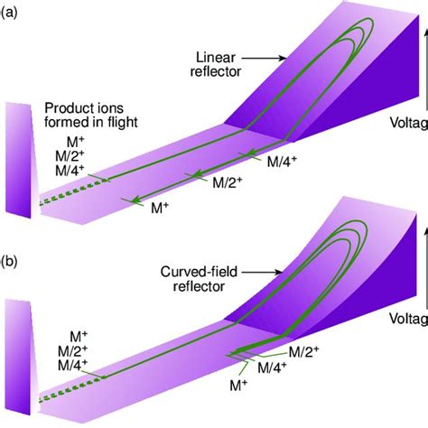 Diagram Of A Linear Time Of Flight Tof Mass Spectrometer Showing The Download Scientific