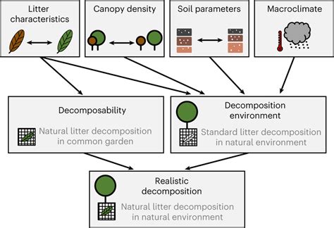 A Priori Model Of The Drivers Of Realistic Decomposition We