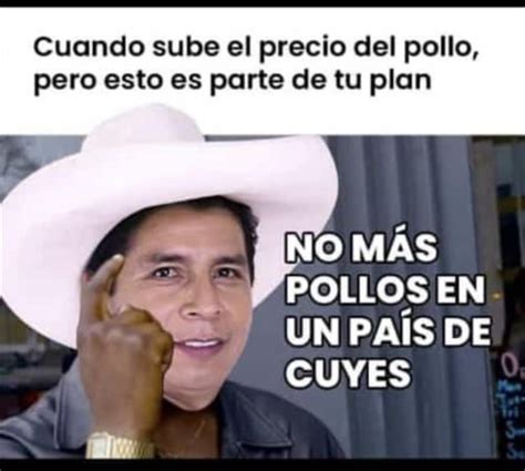 Todo Esta Fríamente Calculado Rperu