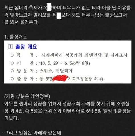 전국 방방곡곡 빼박인 잼버리 예산 3000억 알차게 쓴 증거본문 댓글