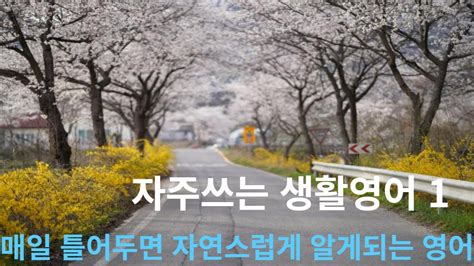 자주 쓰는 생활영어① 자연스럽게 듣기만 하세요 부드러운 목소리 자동암기 듣기영어 수면영어 korean english