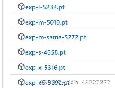 yolov5权重exp pt 权重文件 pt权重文件 java调用 CSDN博客