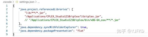Visual Studio Code Java Cplex 知乎