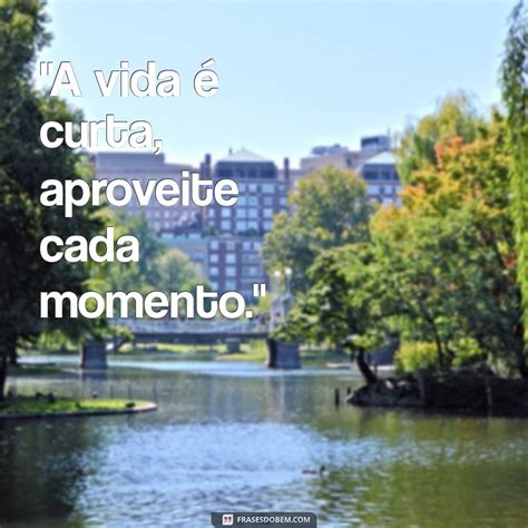 Melhores Frases Para Colocar Em Fotos E Inspirar Seus Seguidores