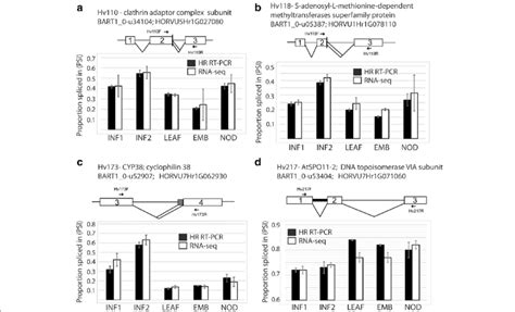 Comparison Of Alternative Splicing In Different Barley Tissues With HR