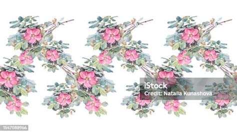 수채화 꽃 개가 있는 이음매 없는 테두리가 흰색 배경에 장미를 피웠다 나뭇잎과 야생 분홍색 장미 엉덩이가 있는 손으로 그린 여름 가지 프레임 차 벽지에 대한 식물