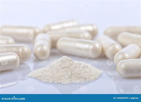 Bacillus Subtilis Growing On Nutrient Agar Medium Under The Microcope Stock Image