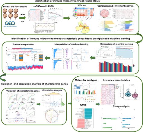 Figure 1 From Identification Of Immune Microenvironment Subtypes And