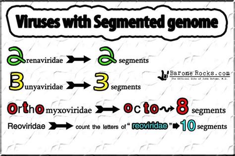 Mnemonic For Viruses With A Segmented Genome Mnemonics Medical