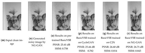 sensors free full text ng gan a robust noise generation generative