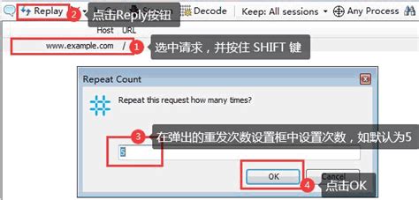 fiddler之replay功能详解 fiddle中replay参数 csdn博客