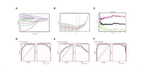 Machine Learning Screening Genes And Modeling A LASSO Coefficient Download Scientific