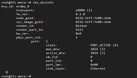 基於erdma部署3fs高效能分布式儲存叢集 Elastic Compute Service 阿里雲