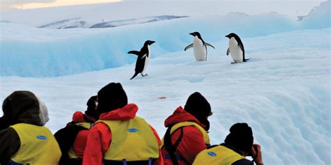 Greg Mortimer Antarctica Complete Contours Travel Cruise