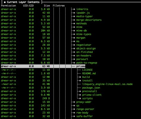 Make A Smaller Prisma Node Module Dependency Issue Prisma Prisma GitHub