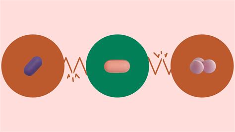 7 Statin Interactions To Check Before Taking One Goodrx