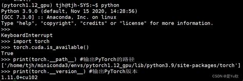 Xshell远程连接配置 Ubuntu 18046 Anaconda Cuda Cudnn Pytorch（gpucpu