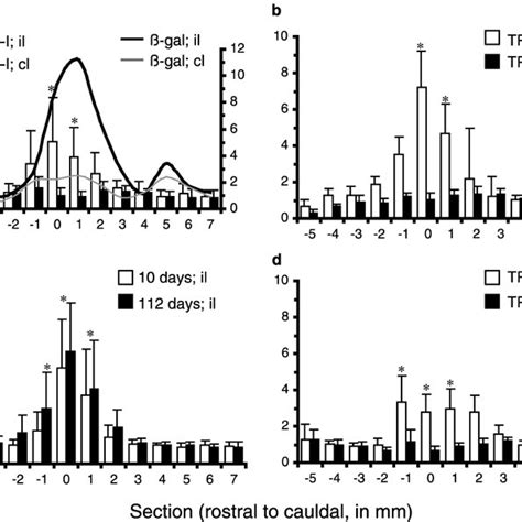 Tpp I Enzyme Activity In Brain Lysates The Data Are Represented As Download Scientific Diagram